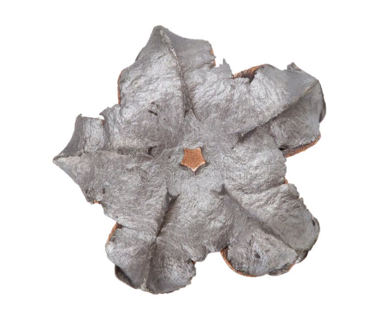 Nine millimeter stock image. Image of white, cartridge - 22983261