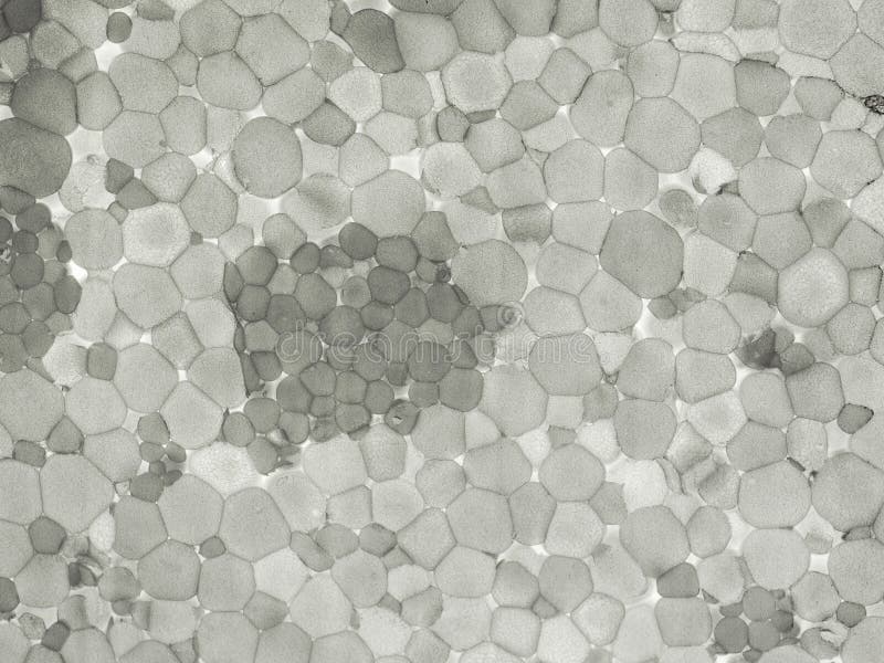 Expanded Polystyrene Plastic Texture Background Stock Photo - Image of ...