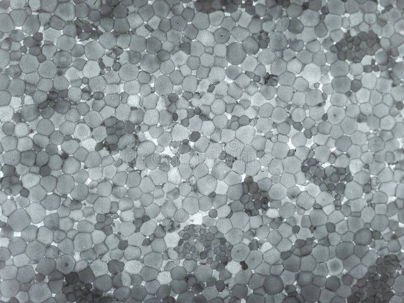 Expanded Polystyrene Plastic Texture Background Stock Photo - Image of ...