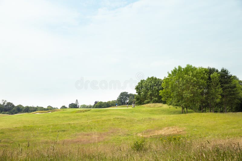 Expanded View of Green Grass Meadow and Trees Stock Photo - Image of ...
