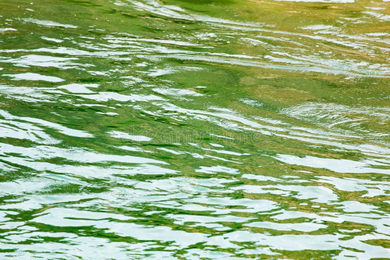 Expanse of Water in the Lake As a Backdrop Stock Photo - Image of fresh ...