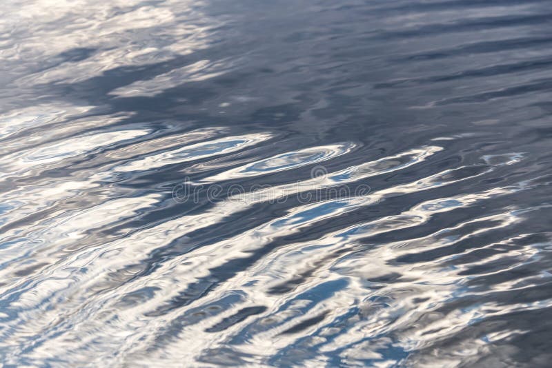 Expanse of Water in the Lake As a Backdrop Stock Image - Image of ...