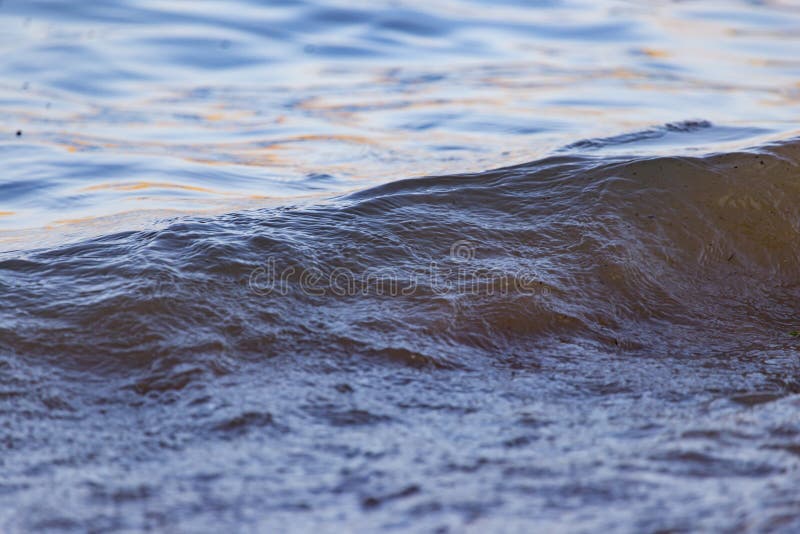 Expanse of Water in the Lake As a Backdrop Stock Image - Image of ...