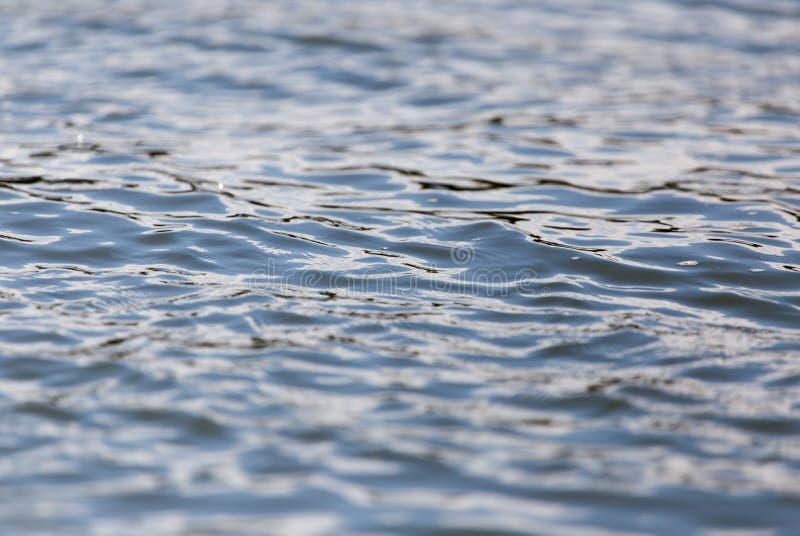Expanse of Water in the Lake As a Backdrop Stock Photo - Image of ...