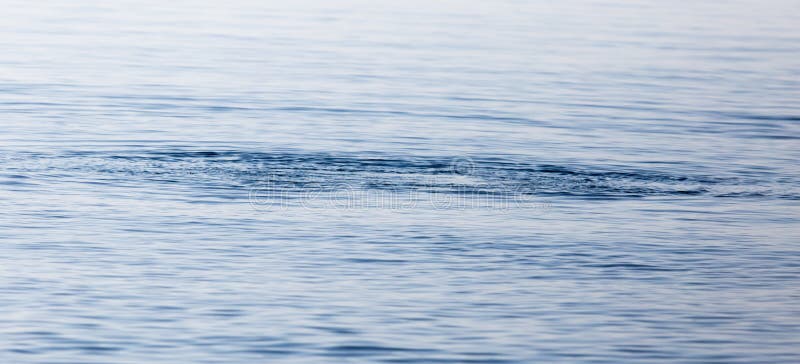 Expanse of Water in the Lake As a Backdrop Stock Photo - Image of clean ...