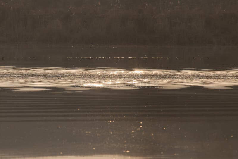 Expanse of Water on the Sunset Background Stock Image - Image of river ...