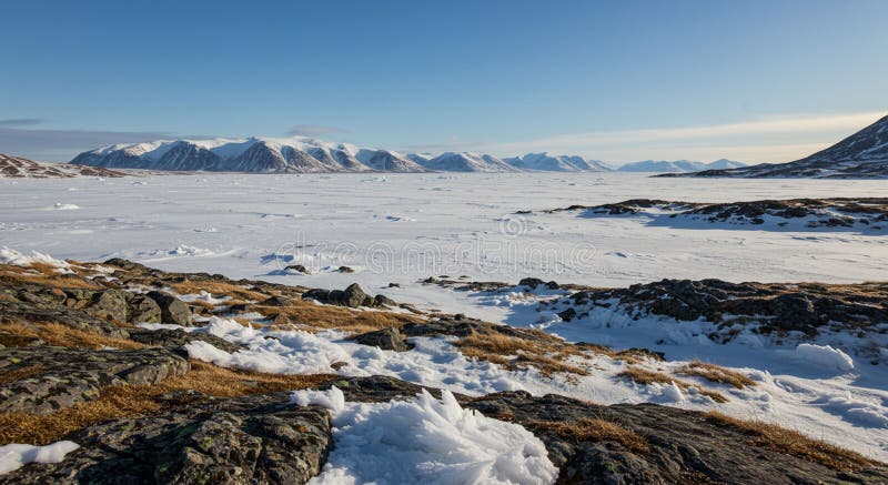 Expansive Arctic Landscape Featuring Snow-covered Terrain and Distant ...