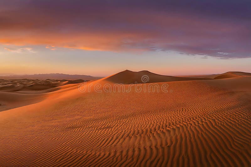 Expansive Desert Landscape Showcasing Rolling Sand Dunes Under the Warm ...