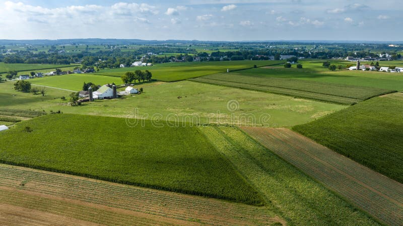 Expansive Farmland with Rows of Crops and Barns Stock Photo - Image of ...