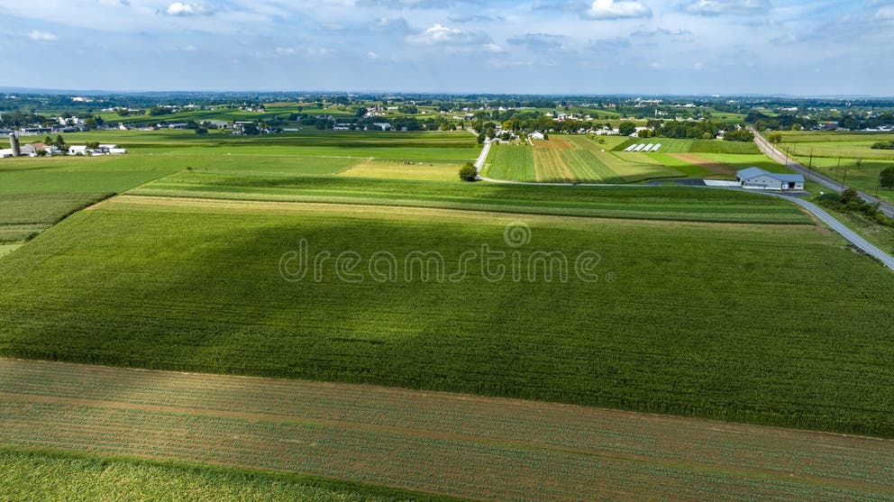 Expansive Farmland with Rows of Crops and Barns Stock Photo - Image of ...