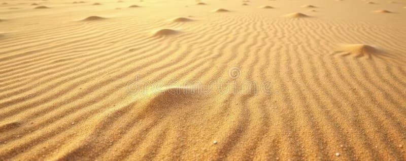 Expansive Flat Sand, Subtle Ripple Marks Visible , Horizontal, Shore ...