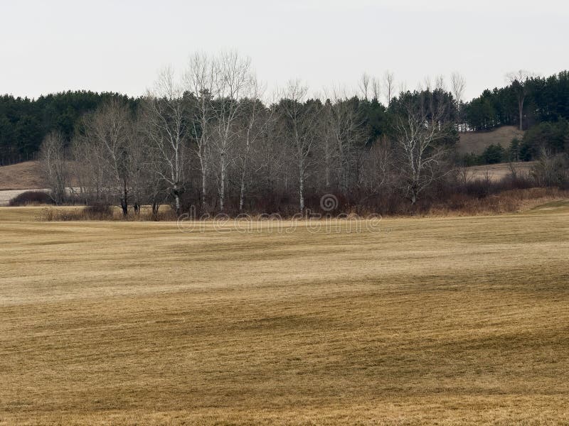 Michigan Farmland with Trees Stock Image - Image of grass, savanna ...