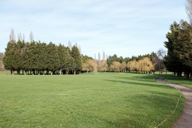 Expansive Green Field Bordered by Dense Clusters of Trees, with a Clear ...