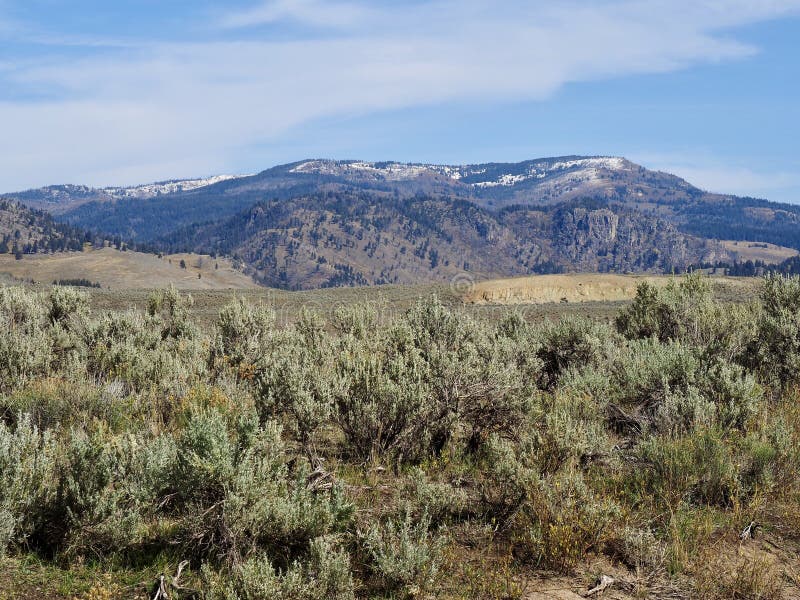 Distant Mountain Range with Snow and Sagebrush in the Foreground Stock ...