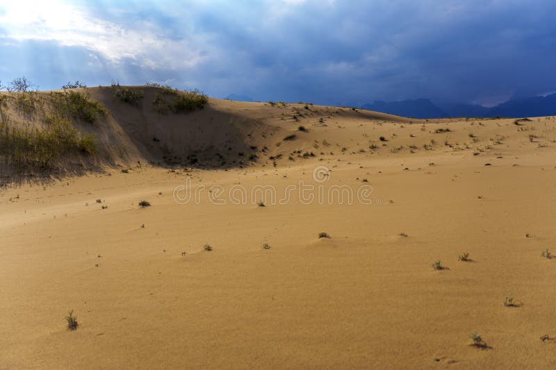 Expansive Sand Dunes with Sparse Vegetation Under a Cloudy Sky Stock ...
