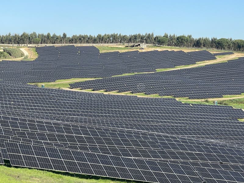 Expansive Solar Farm in a Rural Setting Stock Photo - Image of lawn ...