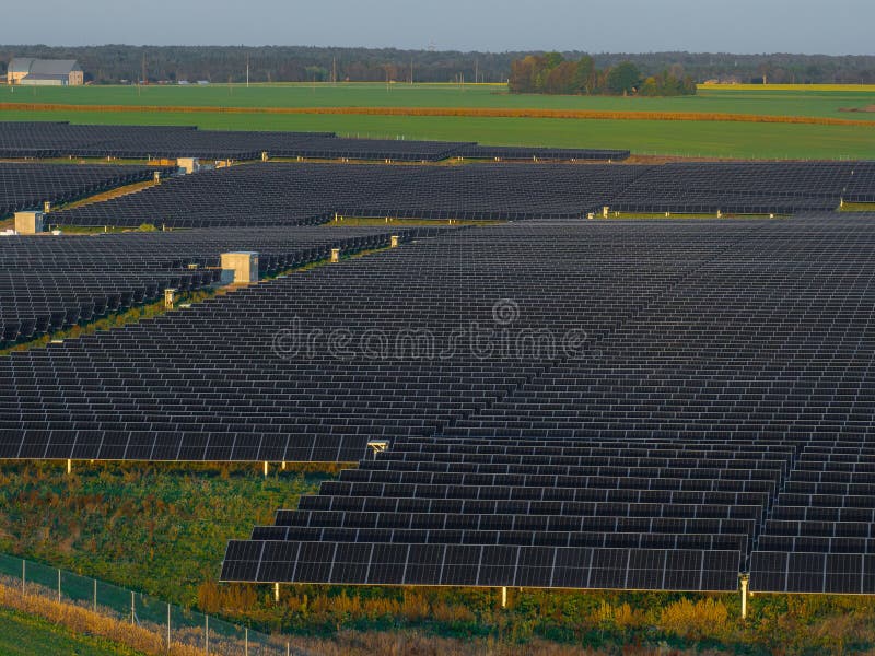Expansive Solar Panel Farm in Lithuania with Lush Green Fields Stock ...