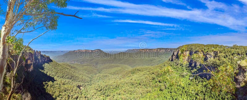 Expansive Valley View in Blue Mountains with Dense Forest, Dramatic ...