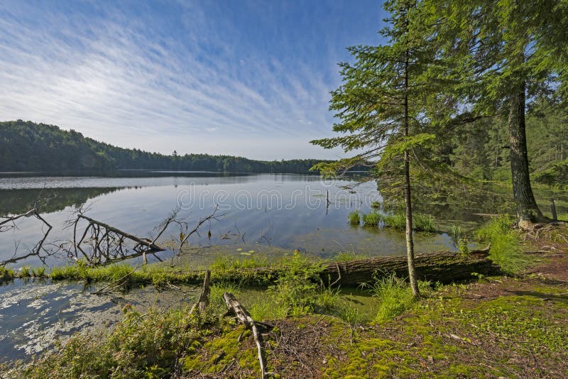 Expansive View on a Wilderness Lake Stock Photo - Image of nature ...