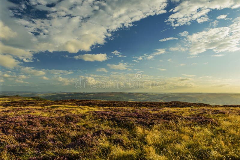 Expansive Views from the Hill To the Grounds Below Stock Photo - Image ...