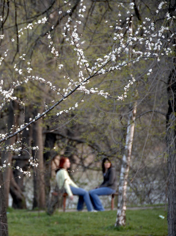 Expectation stock image. Image of spring, expectation - 4462005