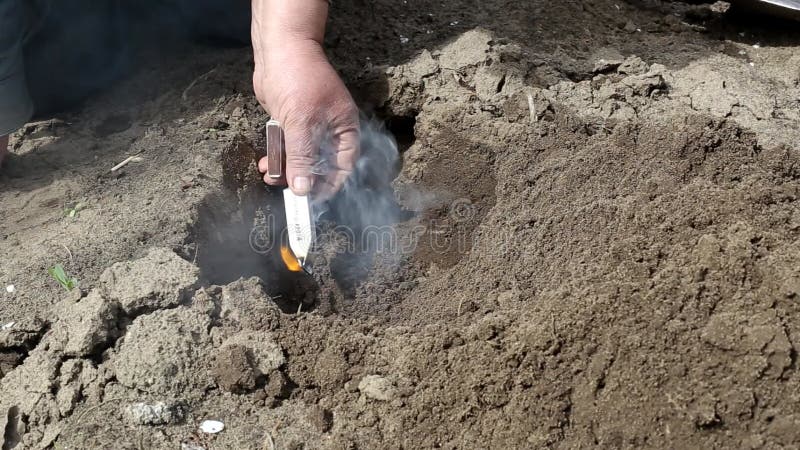 Expelling or Smoking a Mole from a Summer Cottage with a Smoke Bomb ...