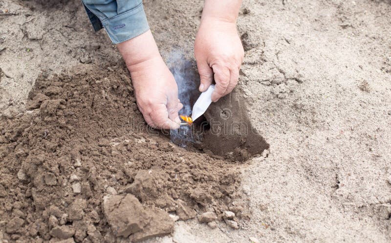 Expelling or Smoking a Mole from a Summer Cottage with a Smoke Bomb ...
