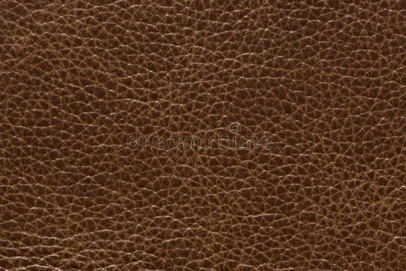 Expensive Light Brown Leather Texture. Stock Image - Image of leather ...