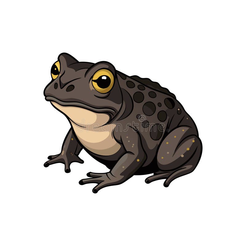 Lifelike Black-Tufted Toad Animal Image Stock Illustration ...