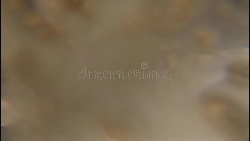 Exploring the Ethereal Dance of Microscopic Life in a Vibrant Universe ...