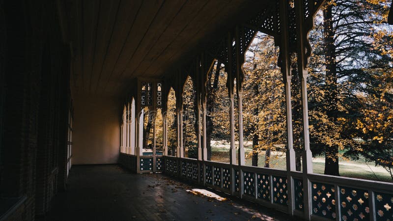 Experience the Enchanting Gothic Architecture Set Against a Backdrop of ...