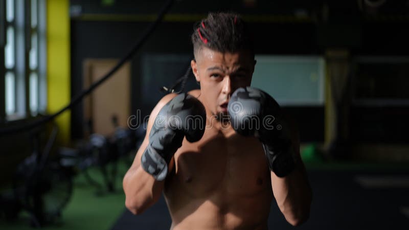 A Dynamic Boxing Training Session Taking Place in a Modern Gym ...