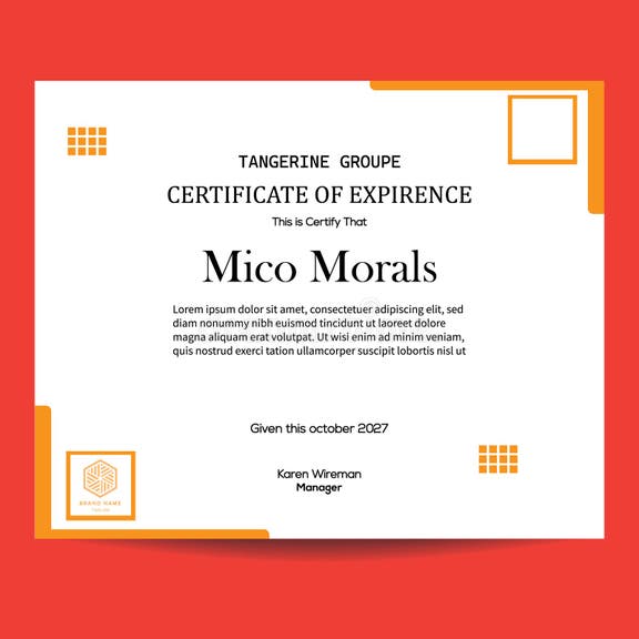 Experience Letter Template, Editable Experience Letter Template Design ...