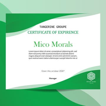 Experience Letter Template, Editable Experience Letter Template Design ...