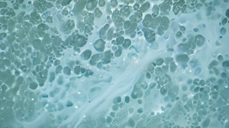 Magnified View of Intricate Liquid Patterns and Bubbles in a Water ...