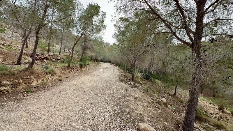 Experience a Scenic Trail that Winds through a Beautiful and Serene ...