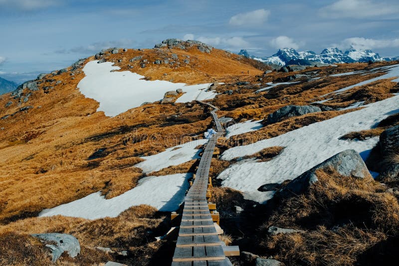 Experience a Serene Mountain Pathway that Winds through the ...