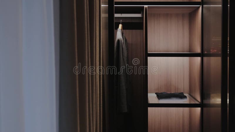 Experience the Sleek and Modern Wardrobe Interior Aesthetically ...