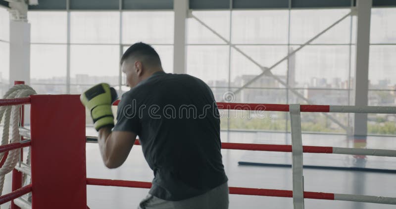 Experienced Boxer Shadow Fighting in Boxing Ring Practicing Defense ...