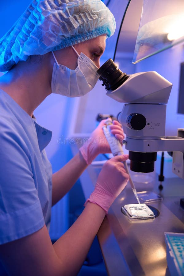 Experienced Embryologist Preparing Specimen for Microscopic Examination ...