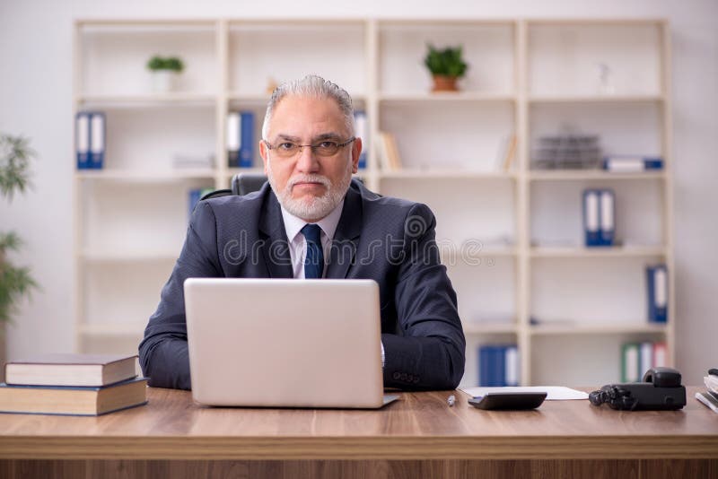 Experienced Old Businessman in the Office Stock Image - Image of ...
