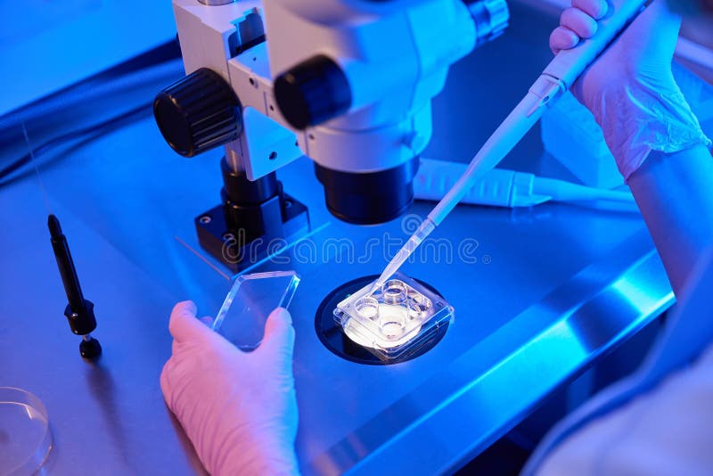Experienced Researcher Preparing Biological Samples for Microscopic ... Experienced Researcher Preparing Biological Samples for Microscopic ...
