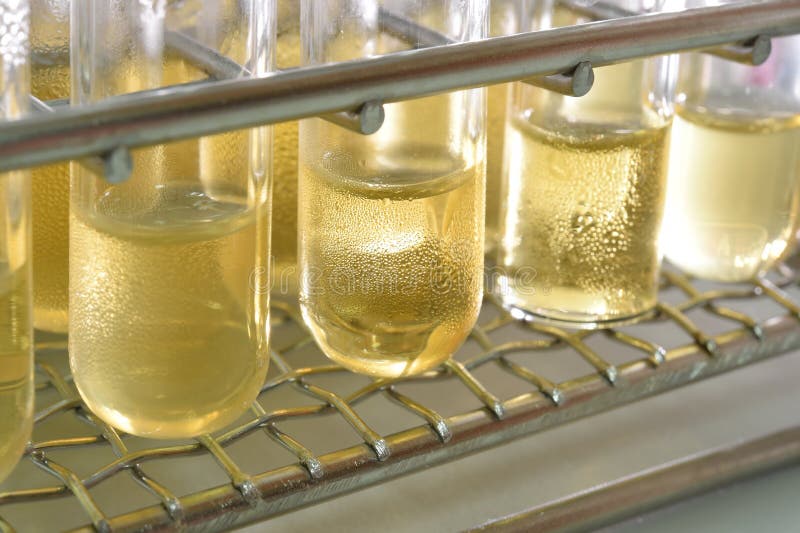 Experiment in Chemical Laboratory Stock Image - Image of surgeon ...