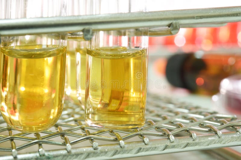 Experiment in Chemical Laboratory Stock Image - Image of equipment ...