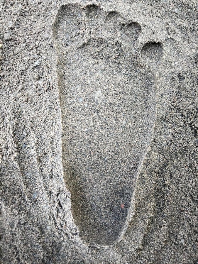 Experiment footprints stock photo. Image of experiment - 248630432