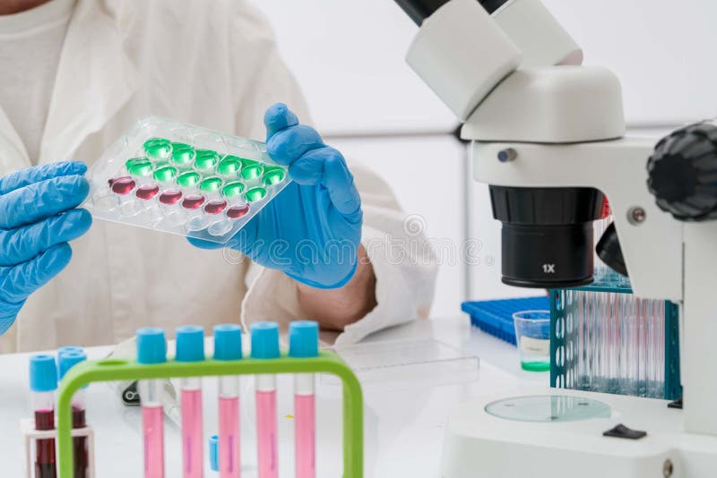 Experiment in the Genetic Laboratory for Growing Artificial Organs ...