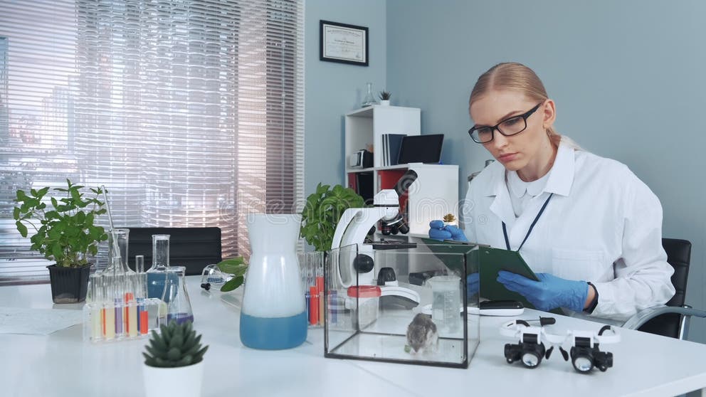 Experiment on Hamster in Modern Lab: Scientist Observing Animal ...