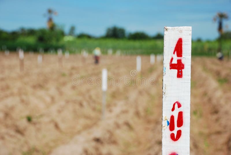 Experiment number label stock photo. Image of leaf, chemistry - 194005740