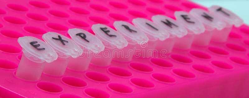 Experiment in Pink from Side View Stock Photo - Image of natural ...