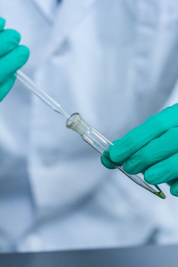 Experiment with a Test Tube in a Laboratory Stock Photo - Image of ...